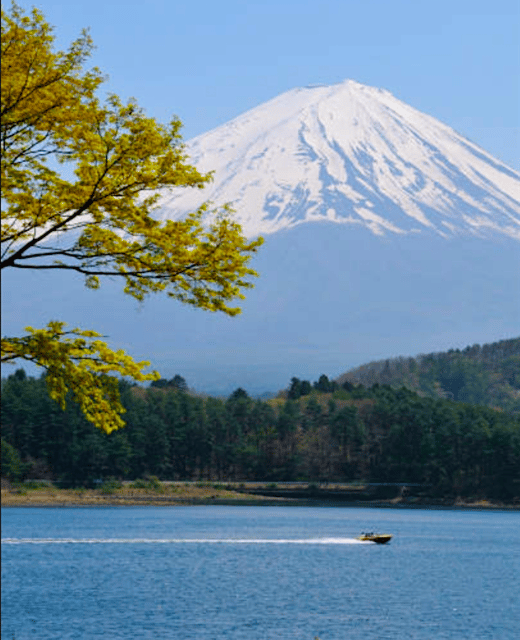 Tokyo: Mount Fuji Five Lakes Hakone Ropeway Guided Day Trip - Discover the Wonders of Hakone Ropeway