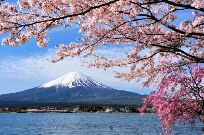 Tokyo: Mt. Fuji 5th Station, Kawaguchiko Cable Car, & Cruise - Exploring the Kawaguchiko Area