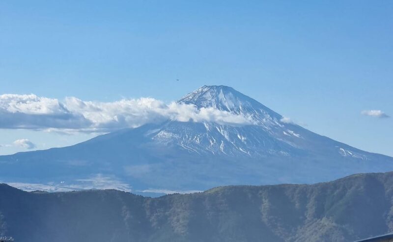 Tokyo: Mt. Fuji and Hakone Tour With Cable Car and Cruise - Customer Reviews