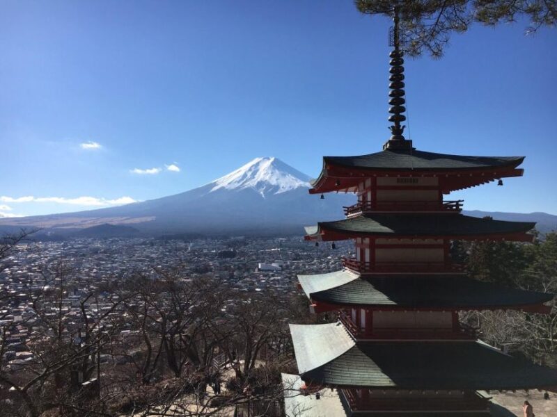 Tokyo: Mt Fuji Area Guided Tour With Traditional Lunch - Customer Feedback and Ratings