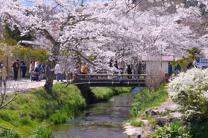 Tokyo: Mt.Fuji Area, Oshino Hakkai & Kawaguchi Lake Day Trip - Customer Feedback