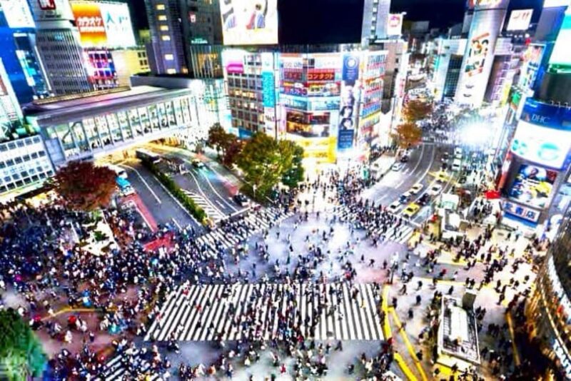 Tokyo One Day Private Tour With English Speaking Driver - Pricing and Cancellation Policy