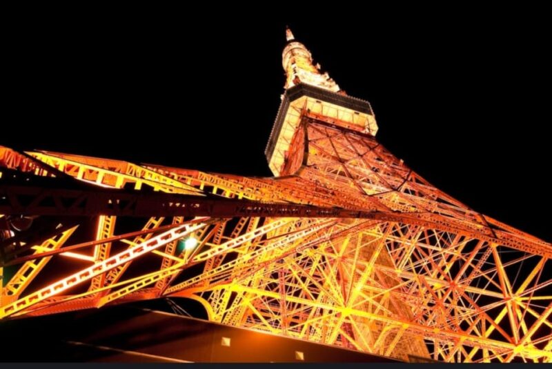 Tokyo: Private Customizable Day Tour With Chauffeur - Important Information