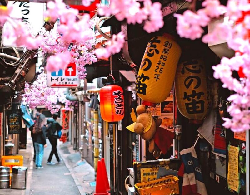 Tokyo Private Customizable Tour With a Local Guide - Recommendations