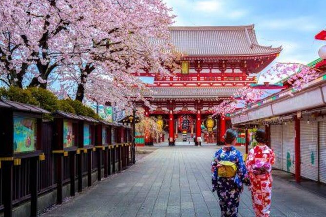 Tokyo Private Guided Tour With Hotel Pickup and Drop off - Highlights of the Tour