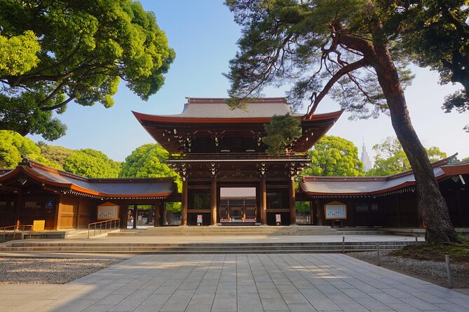 Tokyo Private SightSeeing Day Tour - Customer Reviews