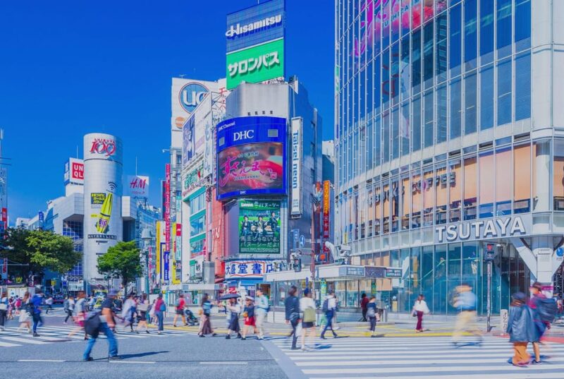 Tokyo Private Sightseeing Tour by English Speaking Chauffeur - Important Information