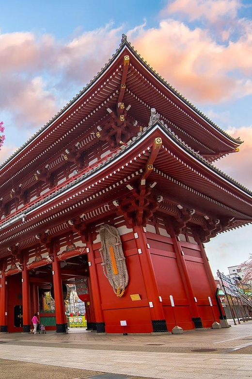 Tokyo Private Sightseeing Tour W/English Speaking Driver - Important Information and Guidelines
