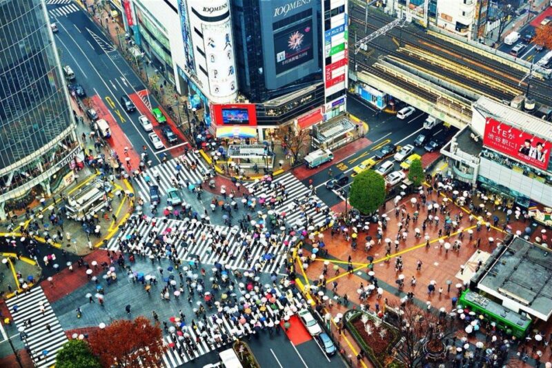 Tokyo Private Sightseeing Tour W/English Speaking Driver - Customer Reviews and Recommendations