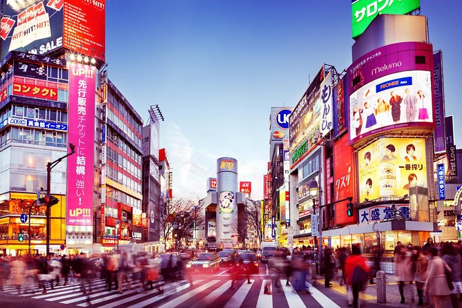 Tokyo Private Transfer From Tokyo Central to Haneda Airport (HND) - Reviews