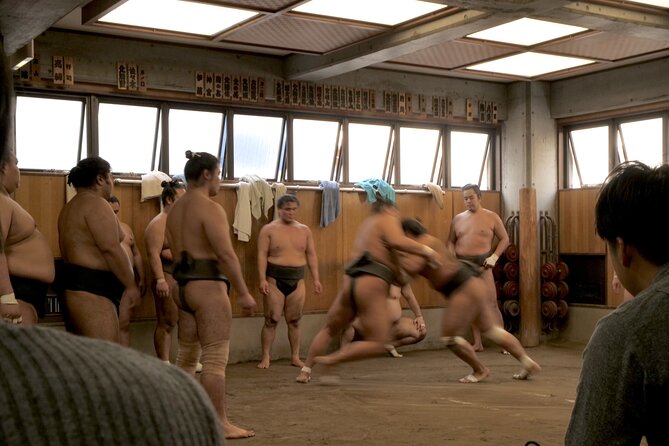 Tokyo Sumo Morning Practice Tour W/ Ring-Side Seat + Photo Shoot - Exploring the Sumo Stable