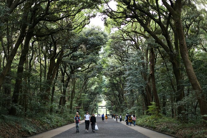 Tokyo Tailored 4 Hours Private Guided Tour - Reviews and Ratings