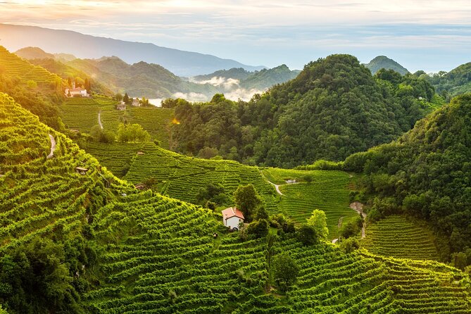 Tour in the Prosecco Hills Tour From Padua - Recommendations
