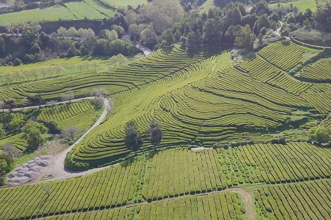 Tour to Furnas and Terra Nostra Garden - Full Day - Important Details for Travelers