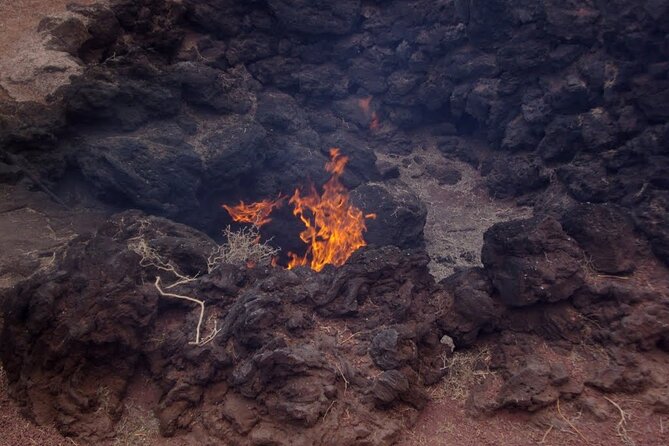 Tour to Timanfaya, La Geria, and La Laguna Verde - Traveler Feedback and Recommendations