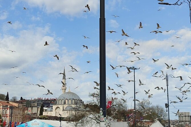 Tour With Guide Taha - What to Expect on the Tour