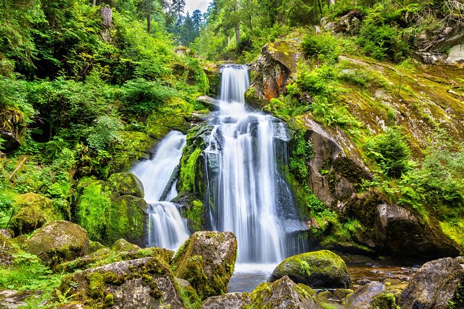 Trip From Zurich to Germanys Black Forest & Swiss Rhine Falls - Exploring the Black Forest
