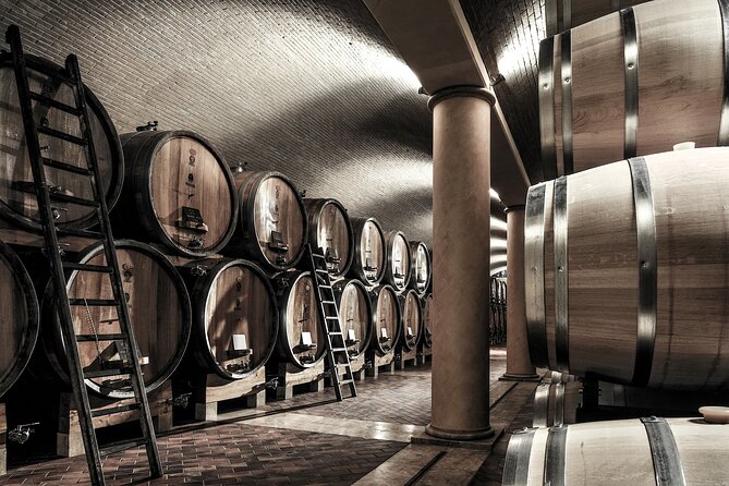 Valpolicella Wine Tasting Experience & Light Lunch - Accessibility and Amenities
