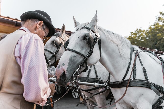 Vienna Horse-drawn Carriage Guided Tour - What to Expect: Logistics and Tour Details