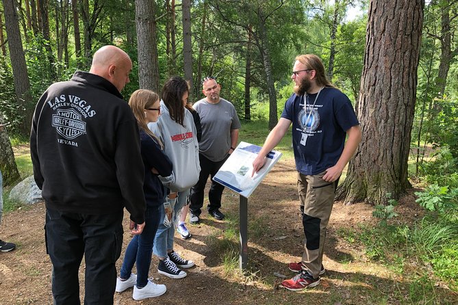 Viking History Small Group Tour Review - Positive Aspects of the Tour