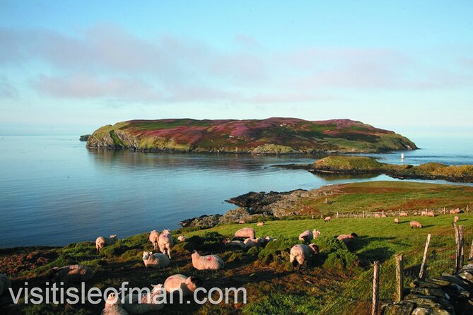 Viking Tour of the Isle of Man - Half Day - Private Tour - Viking Connections on the Isle of Man