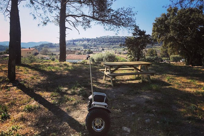 Vineyard Visit in Gyropod, Visit of Cave & Tasting Wines of Bandol - Exploring the Vineyard
