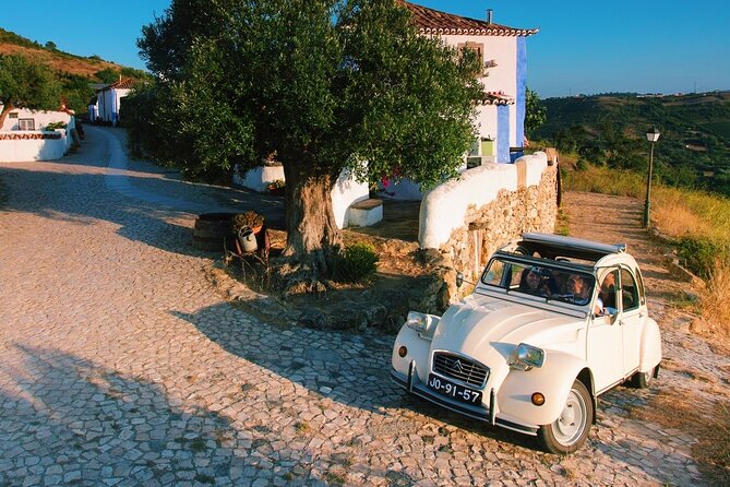 Vintage Countryside Gastronomic Tour - Traveler Testimonials