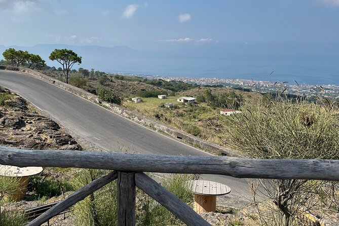 Visit Mt Vesuvius & Pompeii Skip the Line Tickets From Naples - Reviews and Feedback