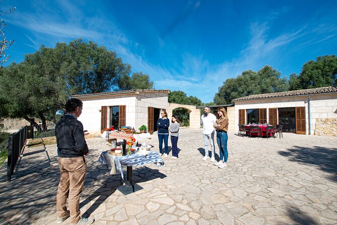 Visit the Finca and Olive Grove, Extra Virgin Olive Oil Tasting and Snack - The Extra Virgin Olive Oil Tasting