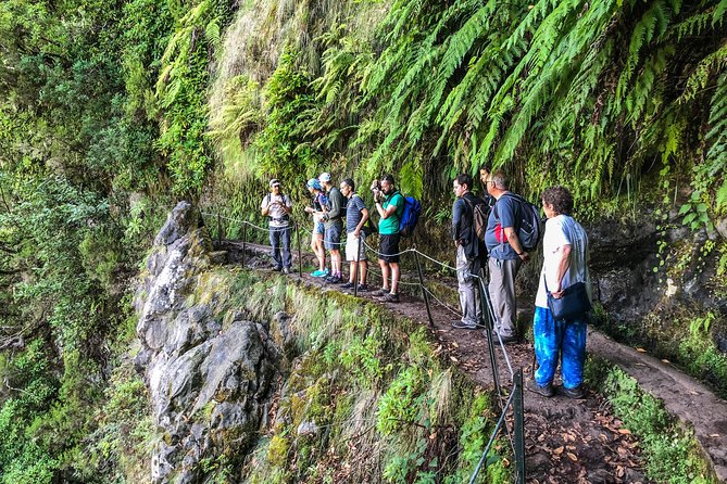 Walk With a Local - Scenic Landscapes and Waterfalls