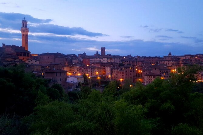 Walking Tour of Siena With Food & Chianti Wine - Accessibility and Considerations