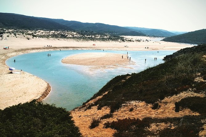 Wild and Wonderful West Coast Full Day Tour - Discovering Hidden Gems and Lesser-Known Beaches