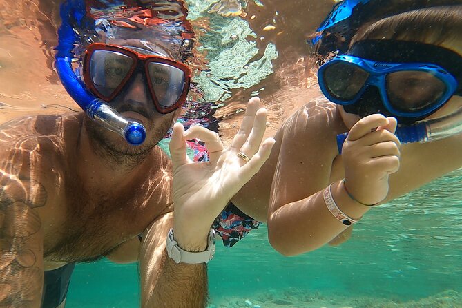 Wild Beaches & Snorkeling Tour - Snorkeling in Sardinian Waters