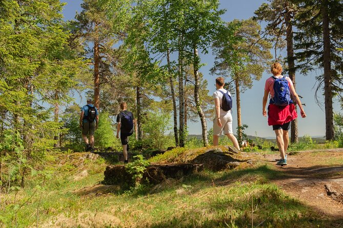 Wildlife Forest Hike - Meeting Point and Logistics