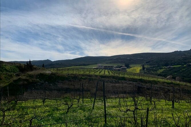 Wine at Stylianou Winery: An Exquisite Tasting Experience - Taking in the Semi-Mountainous Terroir