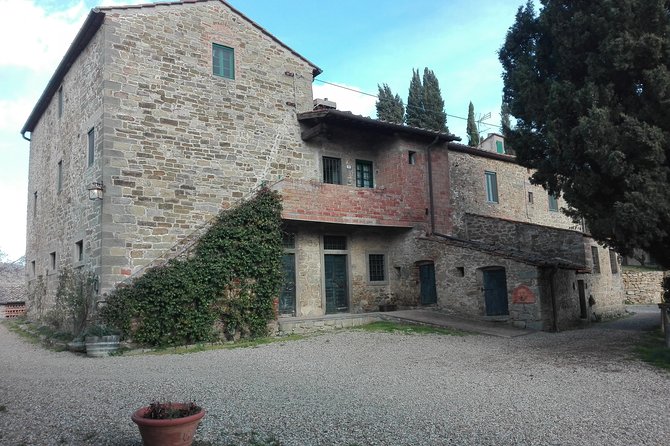 Wine Experience in Chianti Hills From Florence - Customer Feedback and Ratings