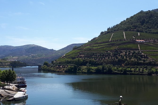 Wine Experience With a Sommelier - Booking and Cancellation Policy