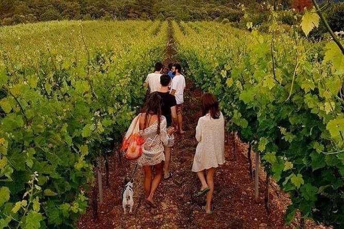 Wine Tasting in Vieste - Winemaker Cinzia and Her Passion
