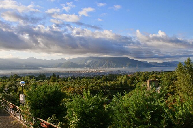 Wine Tour and Lunch With Winetasting and Vineyard Visit - Frequently Asked Questions