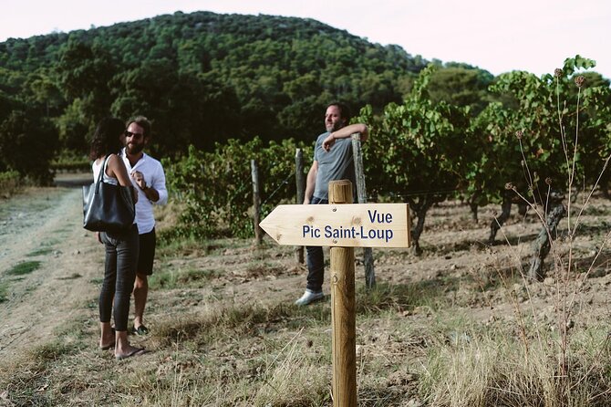Winetour & Food Experience in Pic St Loup - Exploring the Languedoc Winemaking Region
