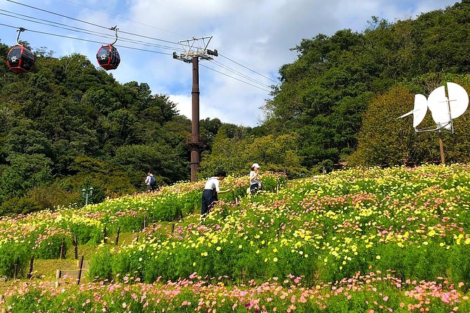 1-Day Kobe Highlights Tour Including Sake Tasting - Ikuta Shrine