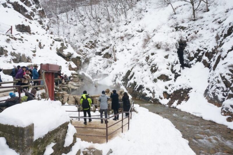1 Day Tour: Snow Monkeys & Snow Fun in Shiga Kogen - Exploring Shiga Kogen Ski Resort