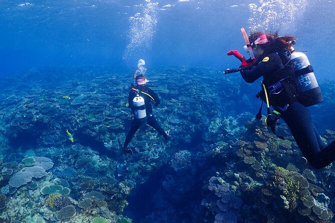 2-Day Private Deluxe Certification Course for Scuba Diving - Reviews and Feedback