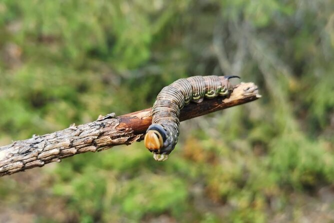 2-Day Small-Group Basic Skills Survival Course in Södermanland - Preparing for the Course