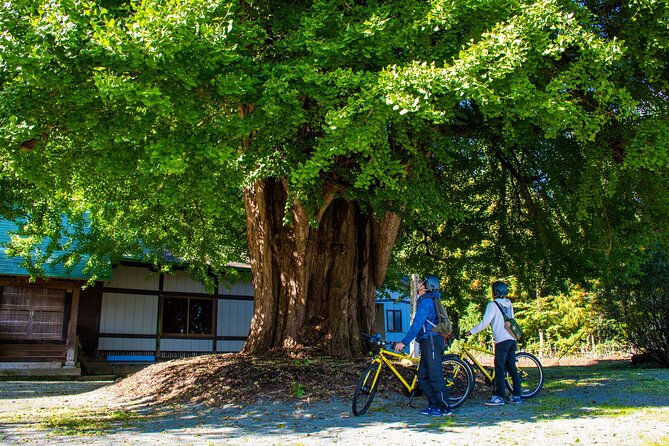 3 Hour Cycling Tour in Kakunodate - Preparing for the Tour
