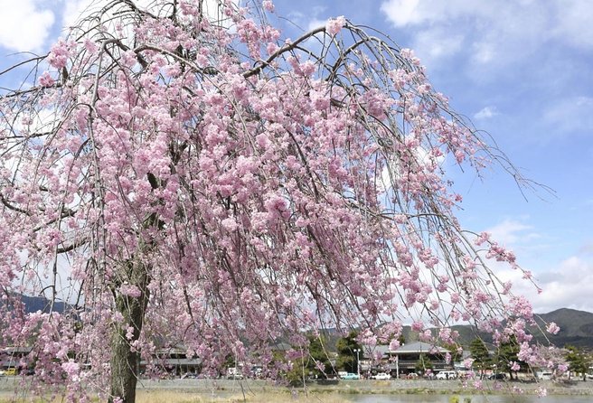 9-Day Japan and South Korea Highlight Tour - Destinations in South Korea