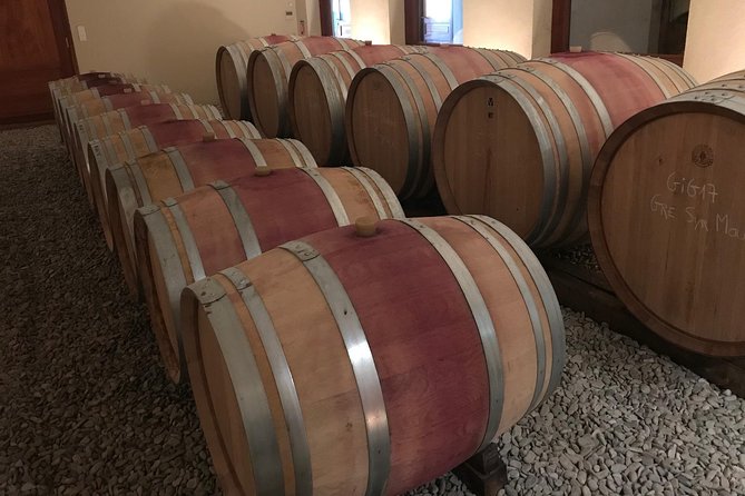 Afternoon Wine Tour to Chateauneuf Du Pape Review - Visiting the Popes Summer Residence