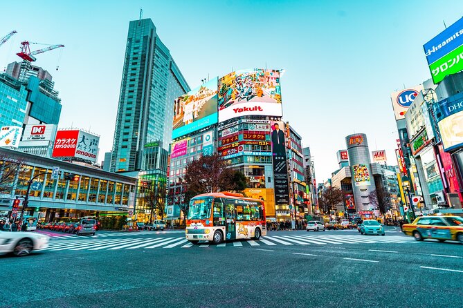 Airport Pick-Up or Drop-Off Service in Tokyo - Getting to and From the Airport
