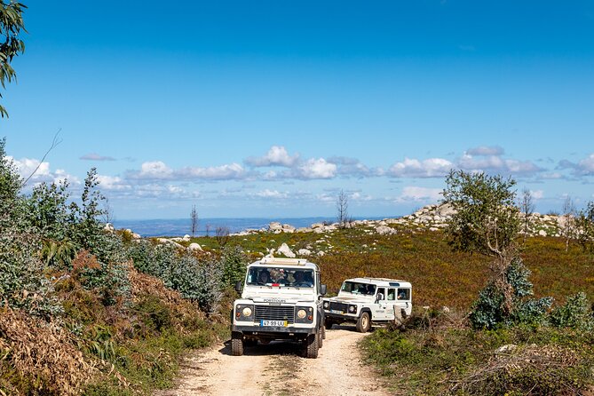Algarve a La Carte - Discovering the Cork Forests and Mount Foia