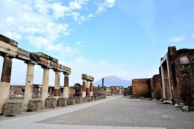 Amalfi Coast Sorrento and Pompeii From Naples - Private Tour - Customer Reviews and Feedback